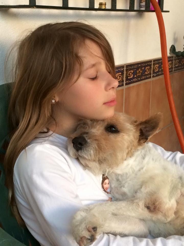 RIP Sweet Fozzy - Terrier SOS - a UK-based dog rescue